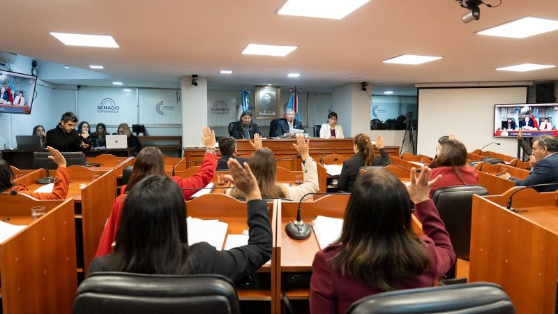 El Senado sancionó leyes vinculados al ambiente, la salud y el ...