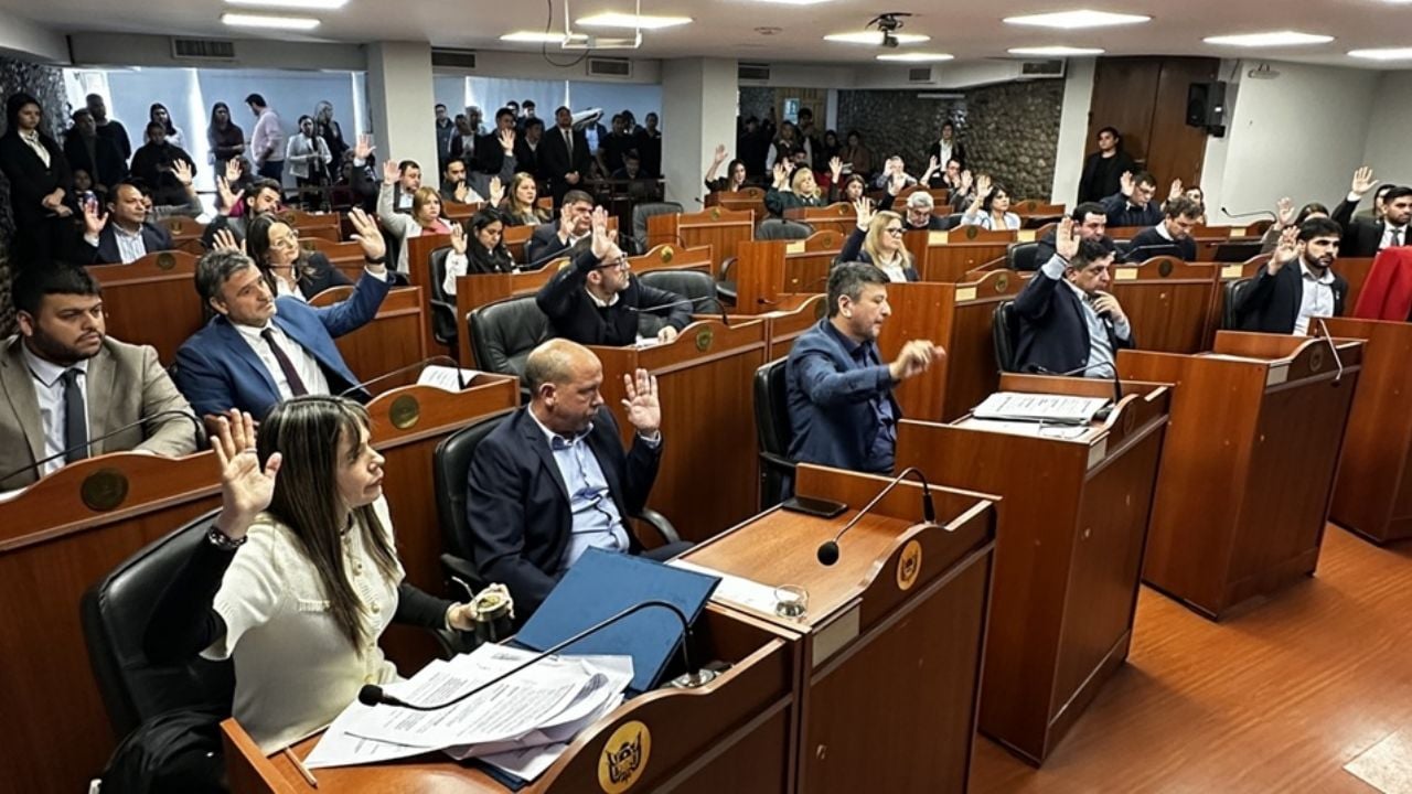 En Diputados avanzaron proyectos sobre patrimonio, inclusión, deporte y ...